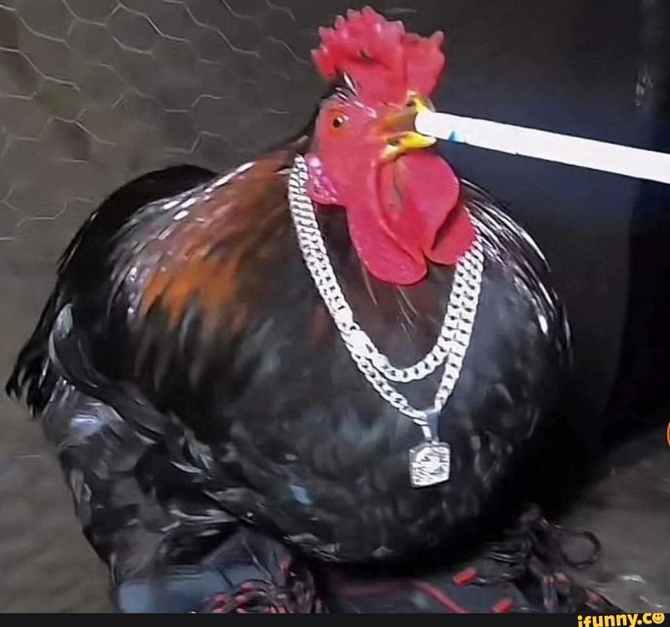 Wanderingspecter memes. Best Collection of funny Wanderingspecter ...