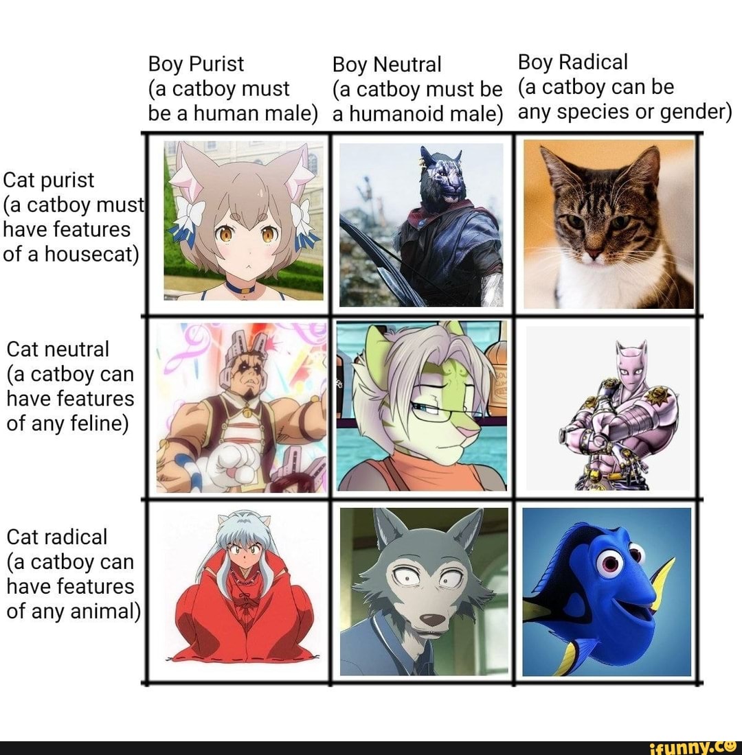 Boy Purist catboy must be a hurnan male) Boy Purist Boy Neutral Boy ...