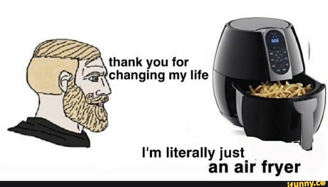Thank you for changing my life I'm literally just_ an air fryer ...
