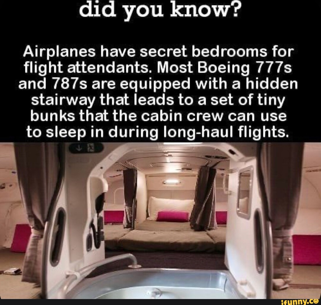 Did you know? Airplanes have secret bedrooms for flight attendants ...