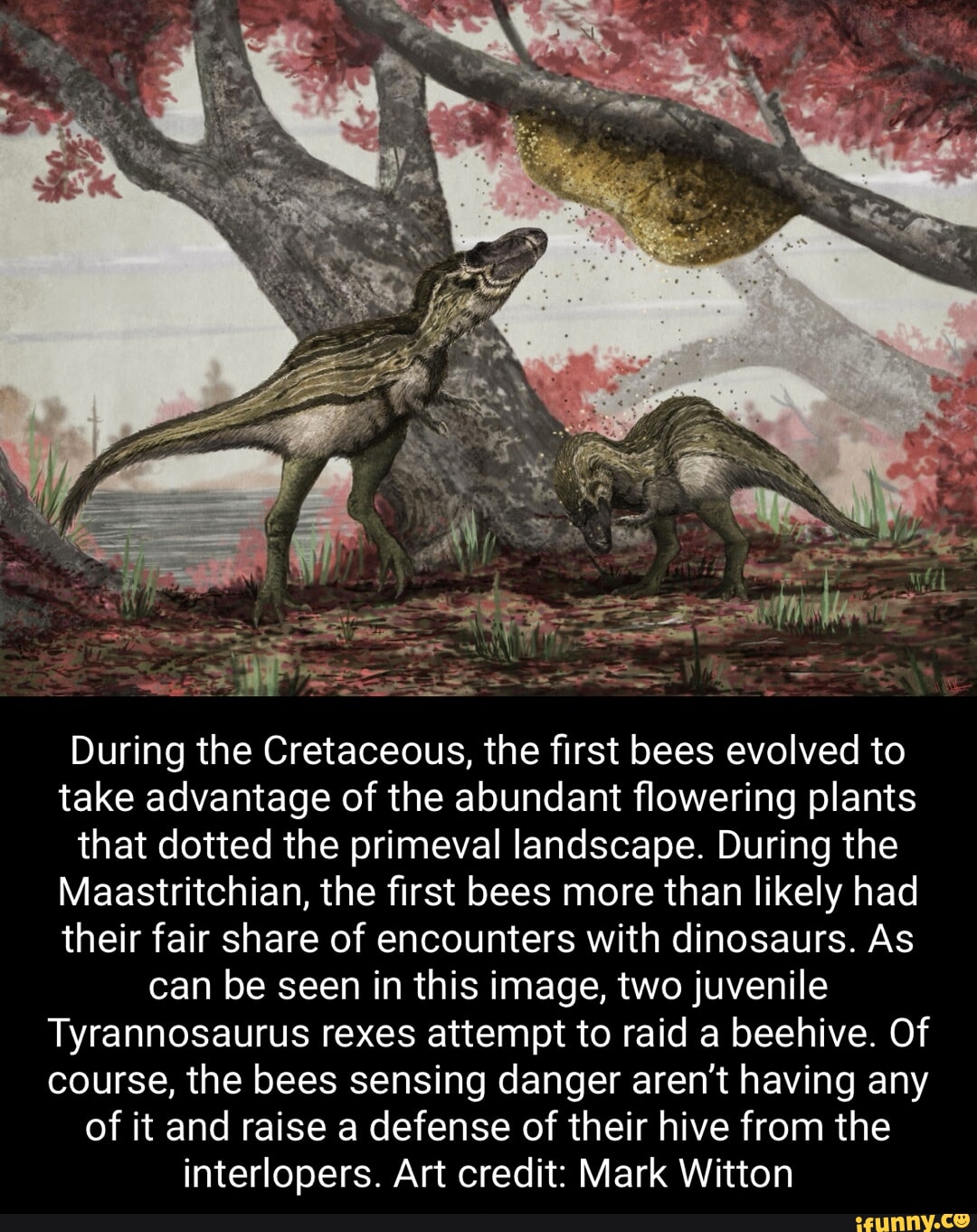 During the Cretaceous, the first bees evolved to take advantage of the ...