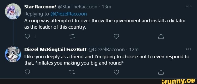 Star Raccoon! @StarTheRaccoon Replying to @DiezelRaccoon A coup was ...