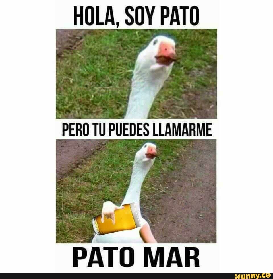 HOLA, SOY PATO te. PERO TU PUEDES LLAMARME PATO MAR - iFunny Brazil