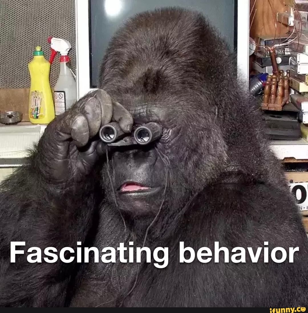 "Gen Z Is Aging Like Milk" | O-T Lounge