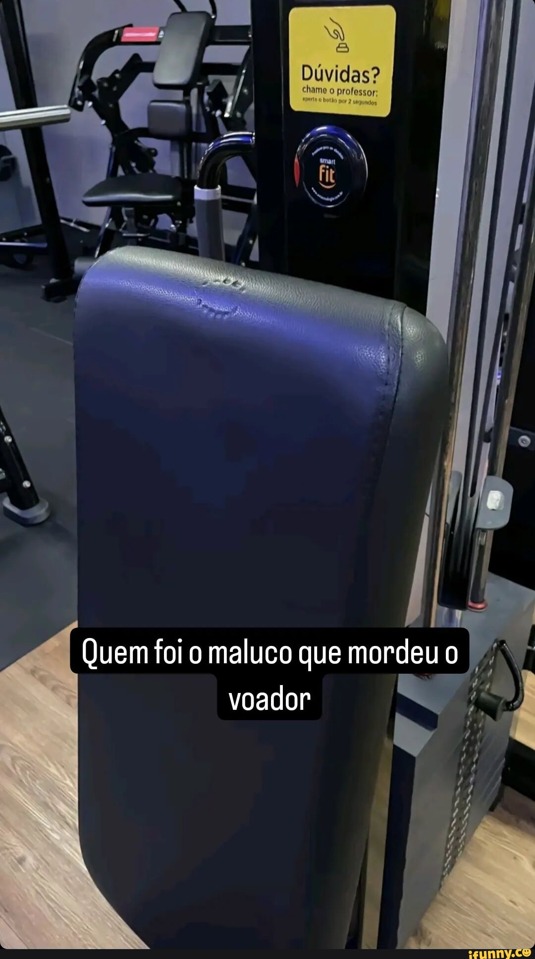 Quem foi o maluco que mordeu o voador - iFunny Brazil