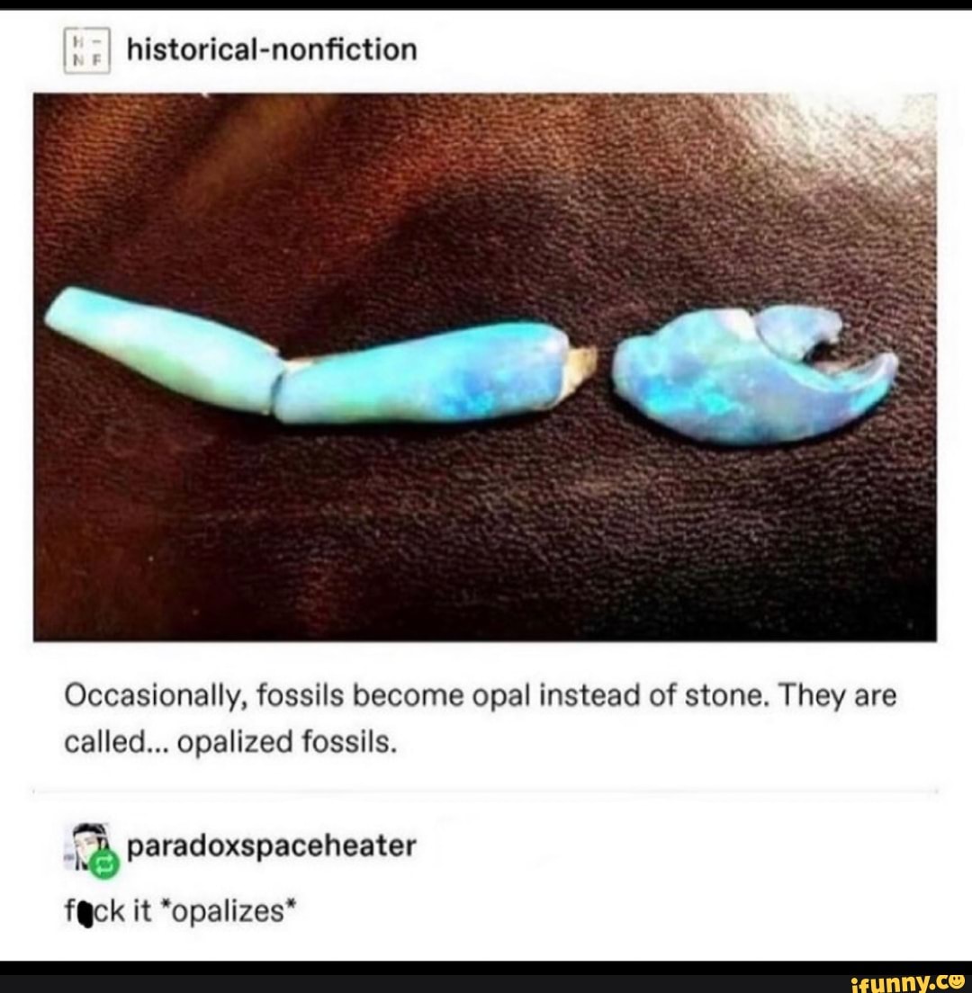 Paradoxspaceheater memes. Best Collection of funny Paradoxspaceheater ...