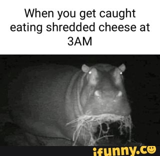 When you get caught eating shredded cheese at - iFunny Brazil