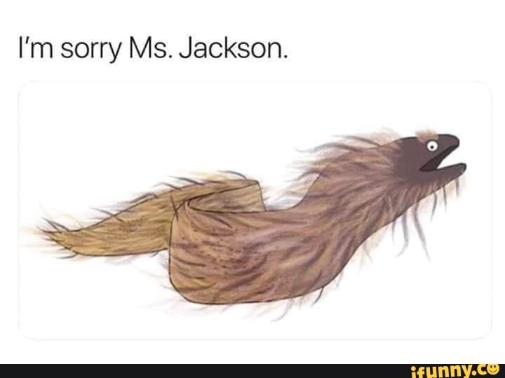 I'm sorry Ms. Jackson. - iFunny Brazil