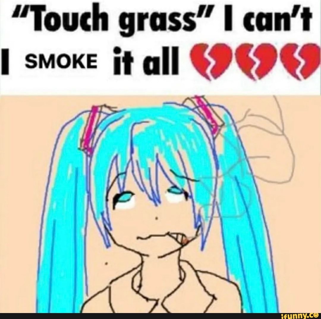 "Touch grass" I can't smoxe it all - iFunny Brazil