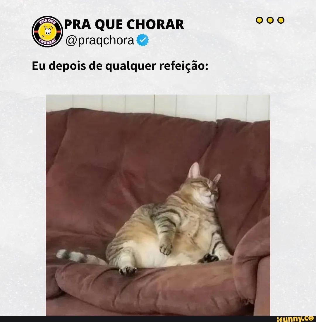 PRA QUE CHORAR 000 Eu depois de qualquer refeição: - iFunny Brazil