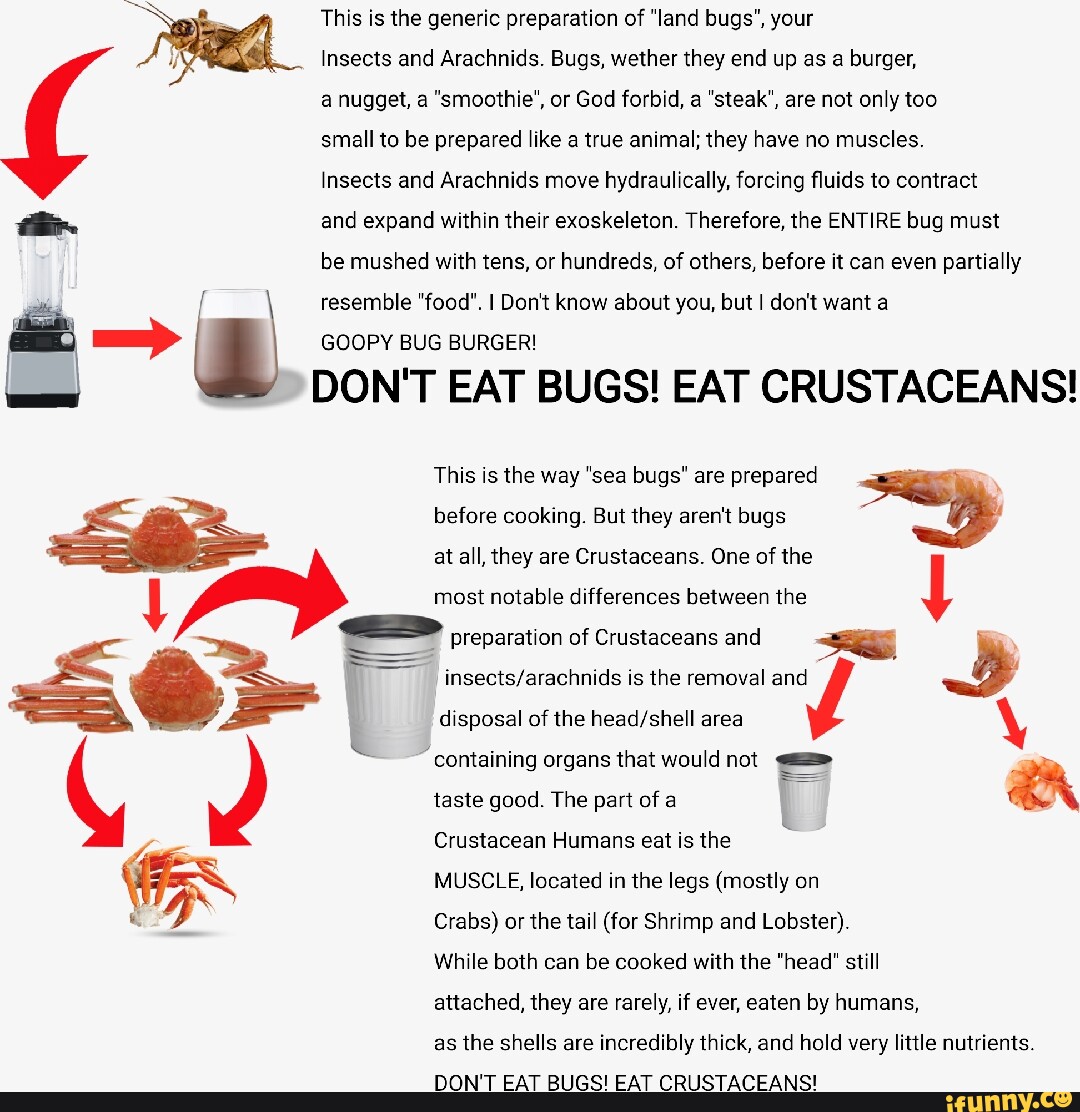 This is the generic preparation of "land bugs", your Insects and ...