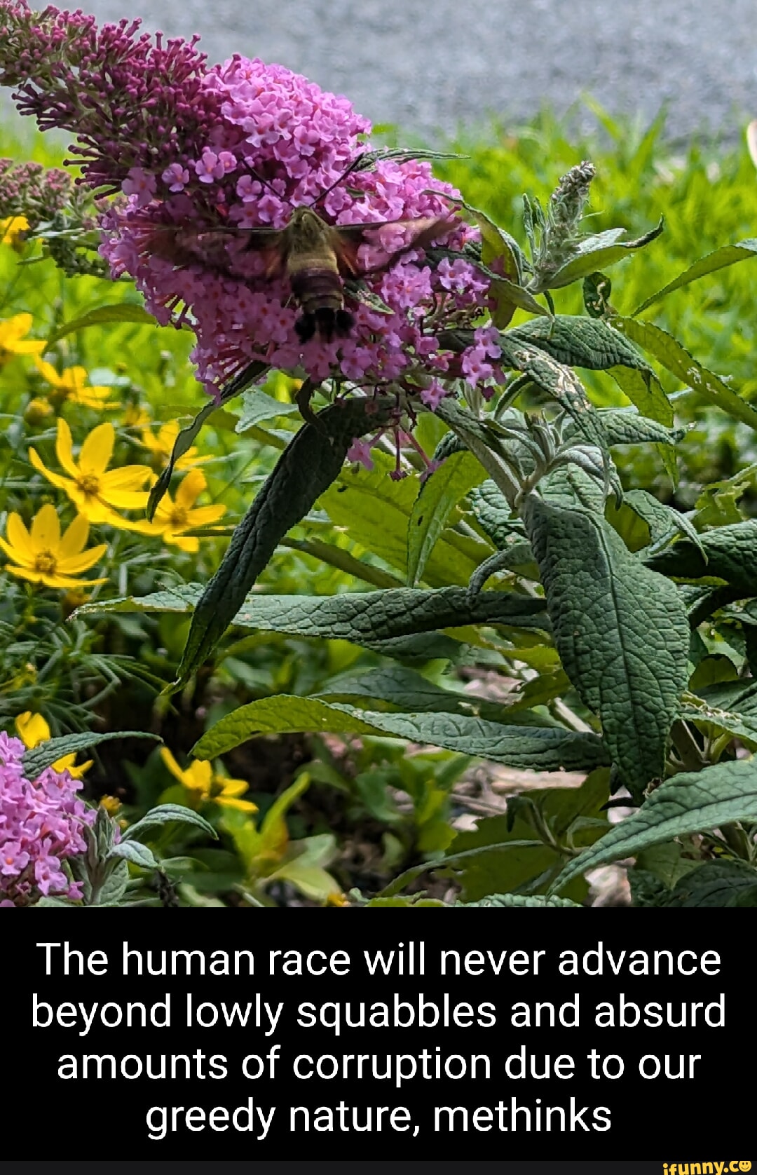 The human race will never advance beyond lowly squabbles and absurd ...