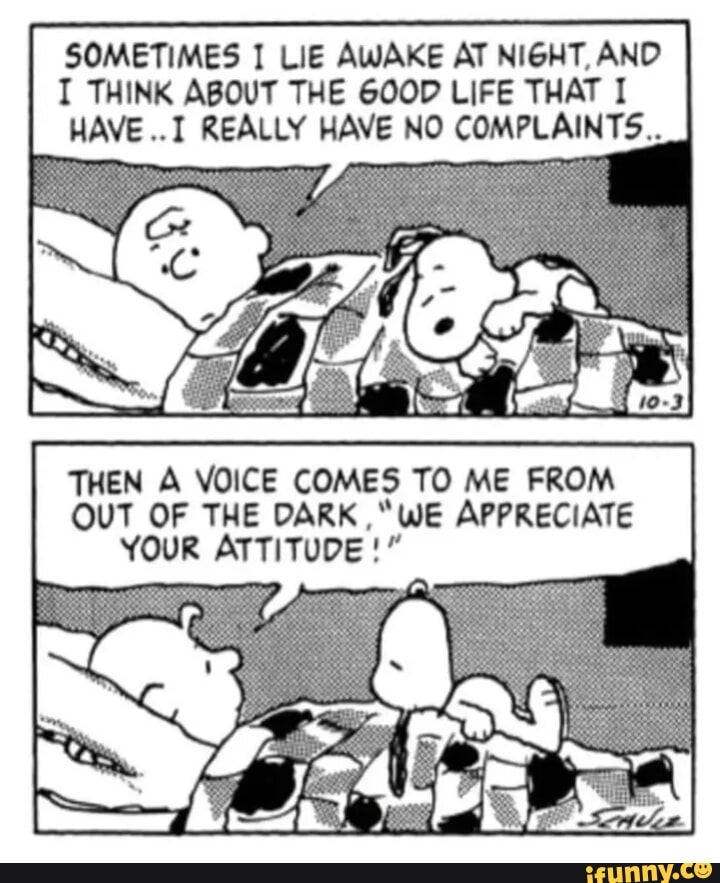 SOMETIMES I LIE AWAKE AT NIGHT, AND THINK ABOUT THE 600D LIFE THAT I ...