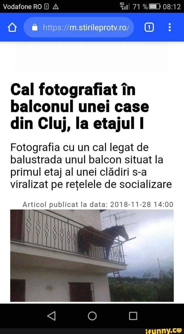 Cal fotografiat in balconul unei case din Cluj, la etajul Fotografia cu ...