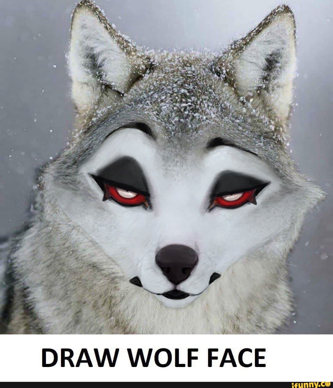 DRAW WOLF FACE - iFunny Brazil