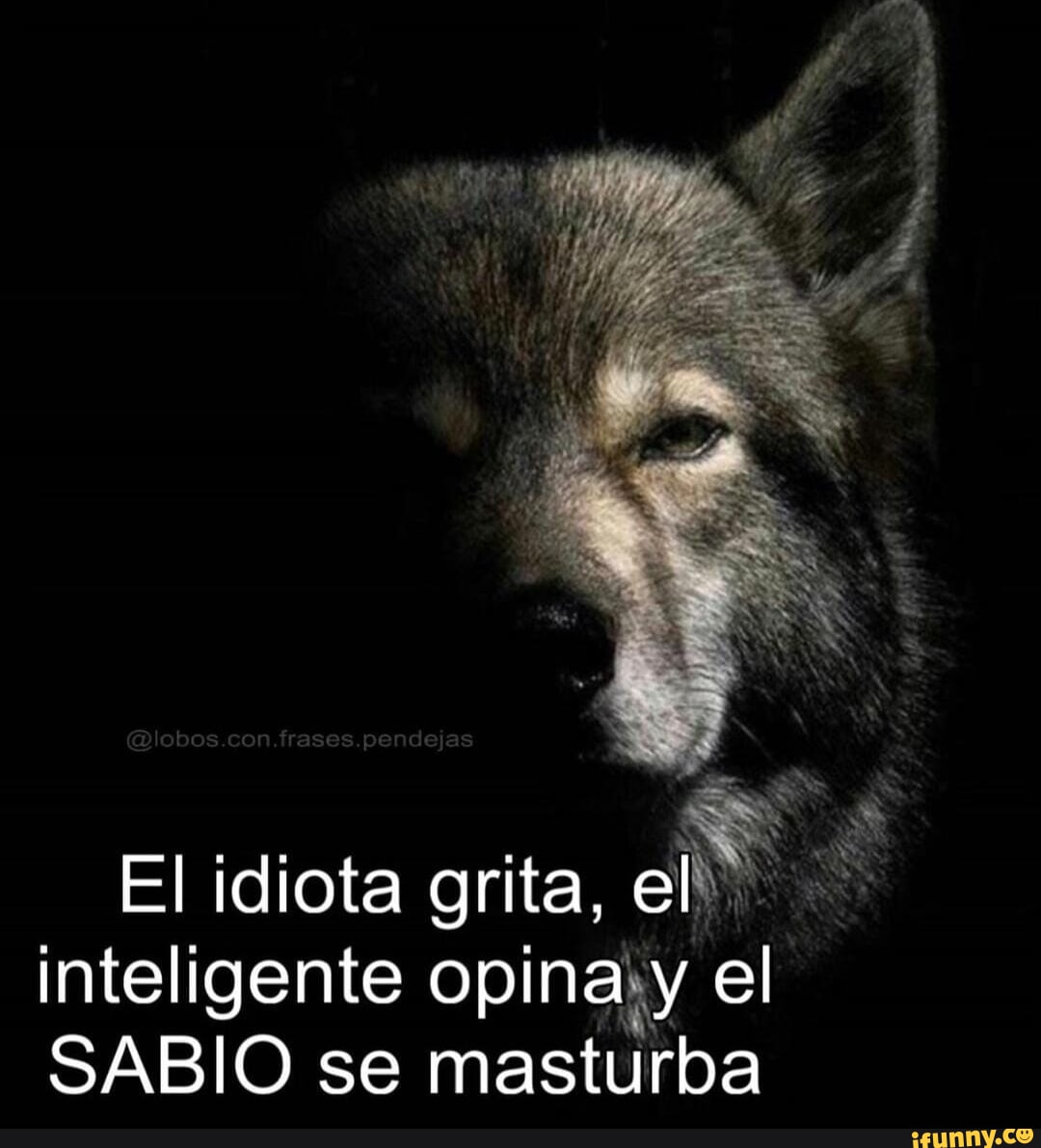 El idiota grita, el inteligente opina el SÁBIO se masturba - iFunny Brazil