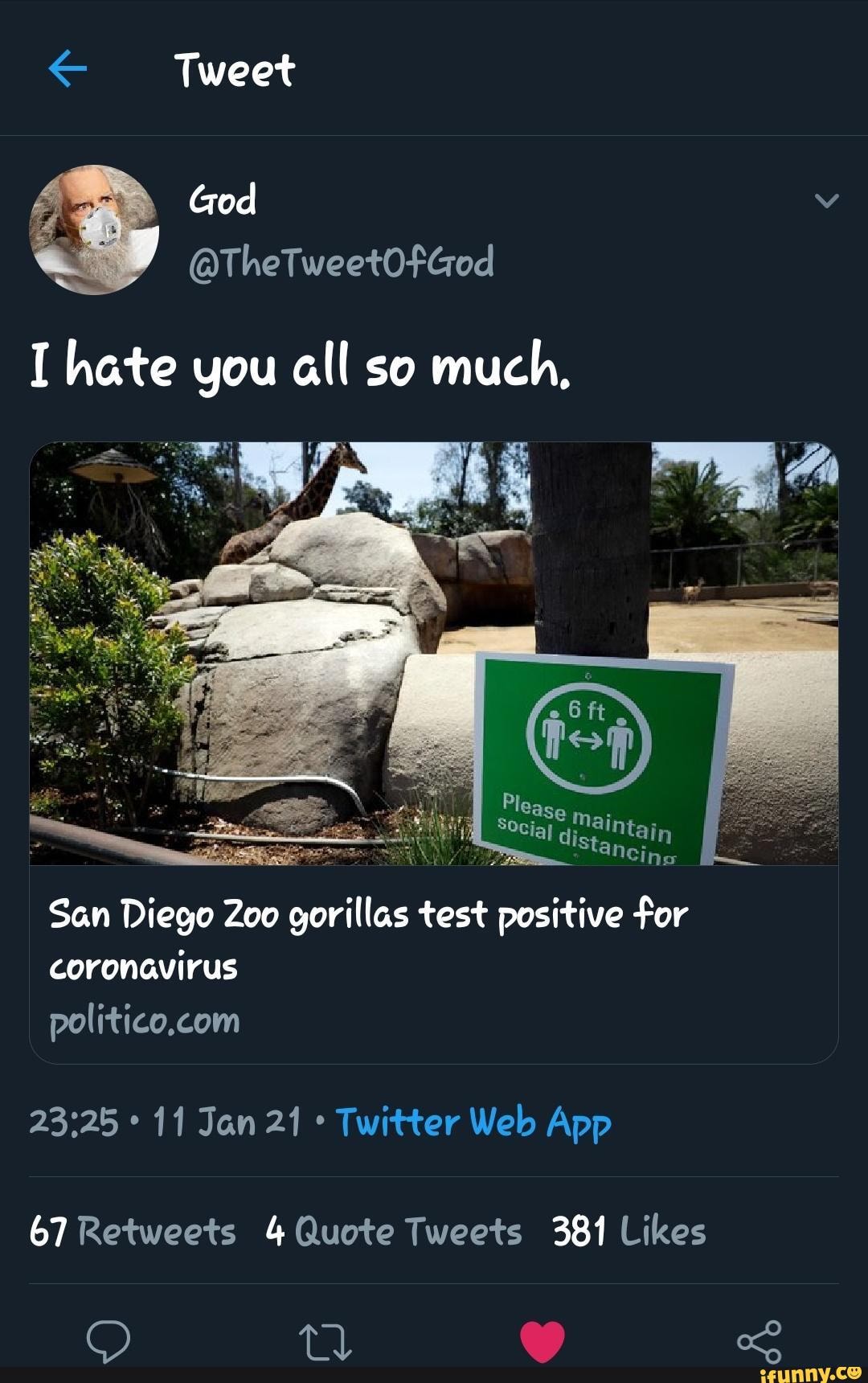 Tweet God @TheTweetOfGod hate you all so much, San Diego gorillas test ...