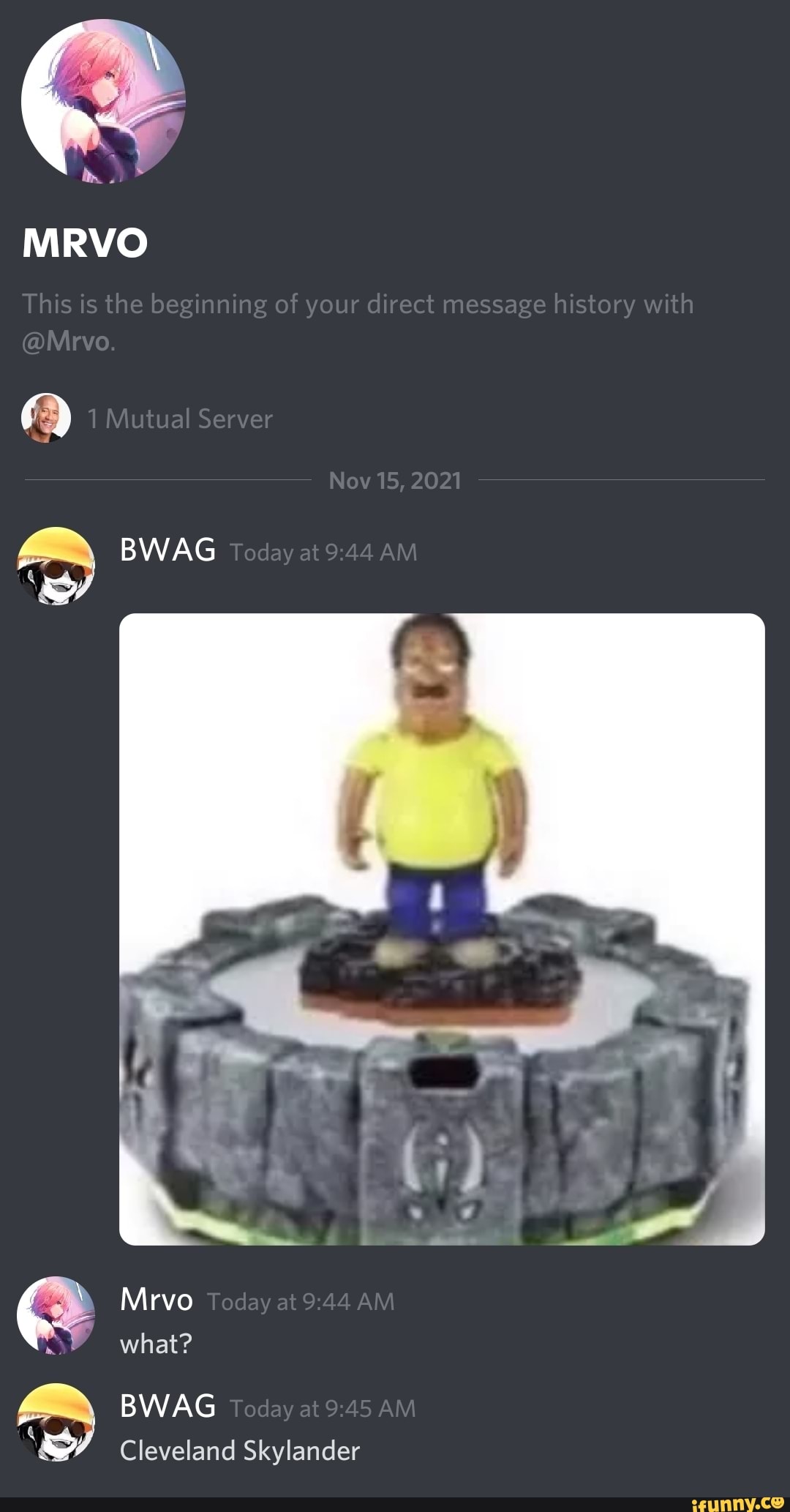 This is the beginning of your direct message history with @Mrvo 1 ...