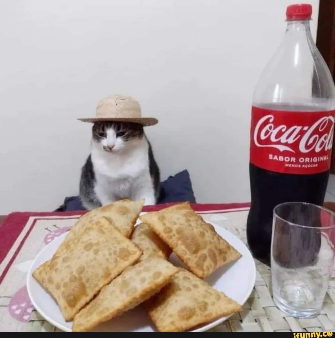 Memes de imagem LJivTDV3B por pedrofilio: 67 comentários - iFunny Brazil