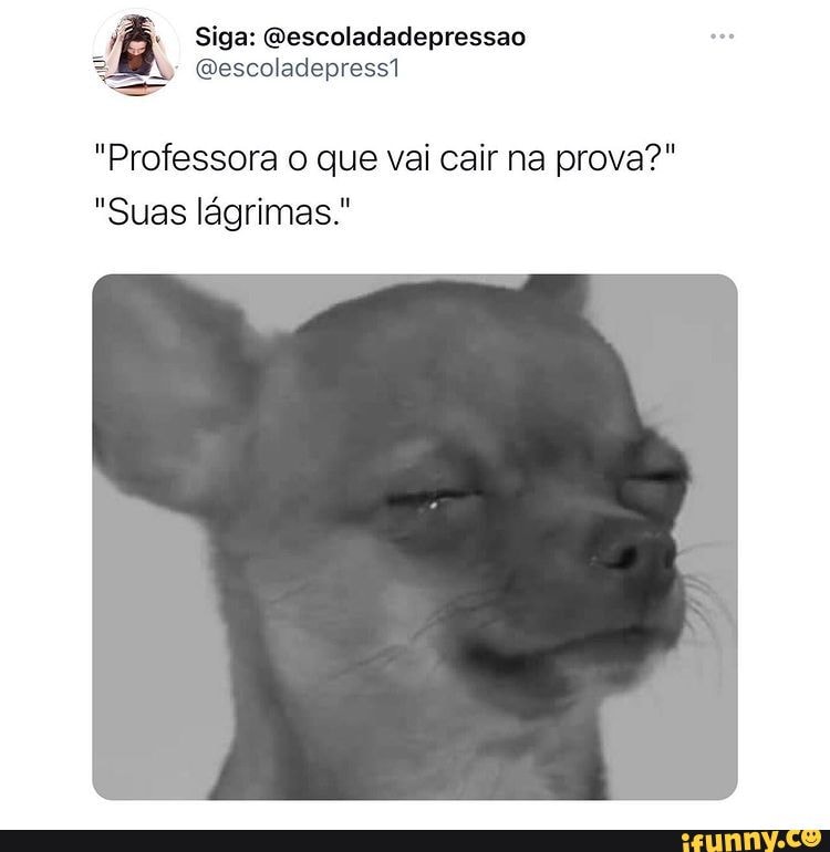 "Professora o que vai cair na prova?" "Suas lágrimas." - iFunny Brazil