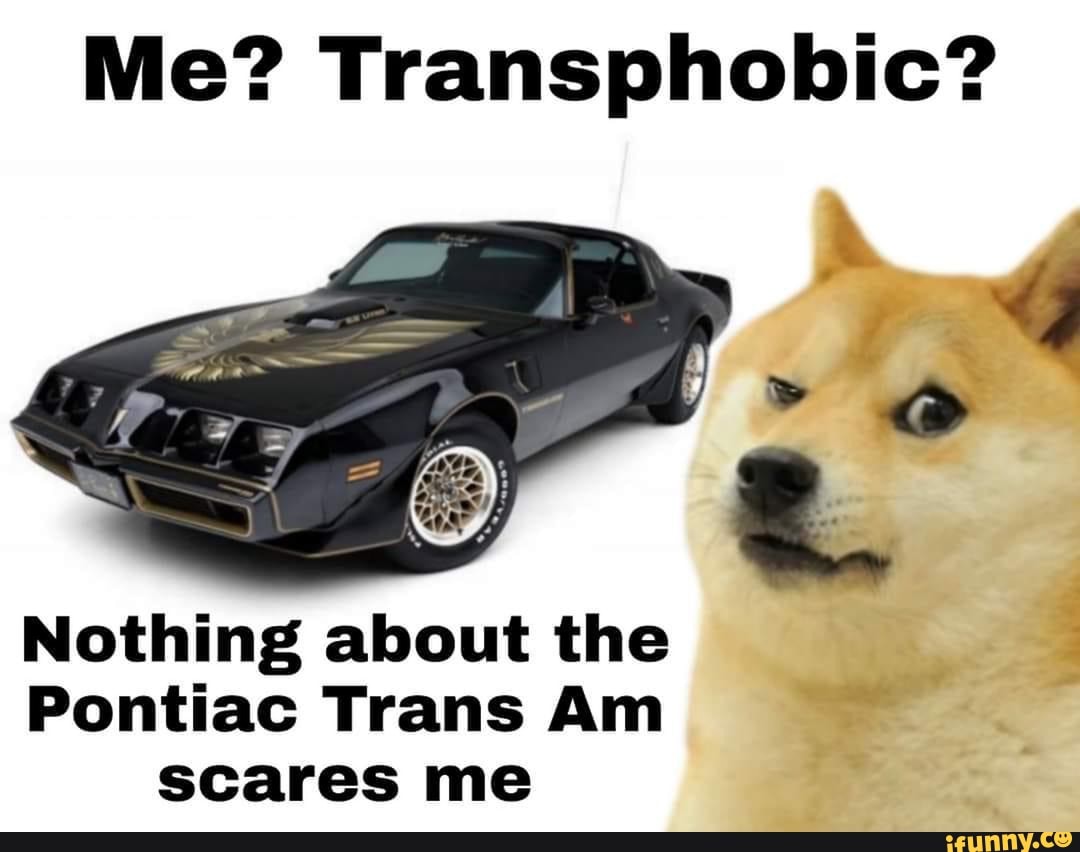 Trans Am Memes