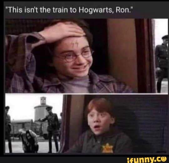 "This isn't the train to Hogwarts, Ron." - iFunny Brazil