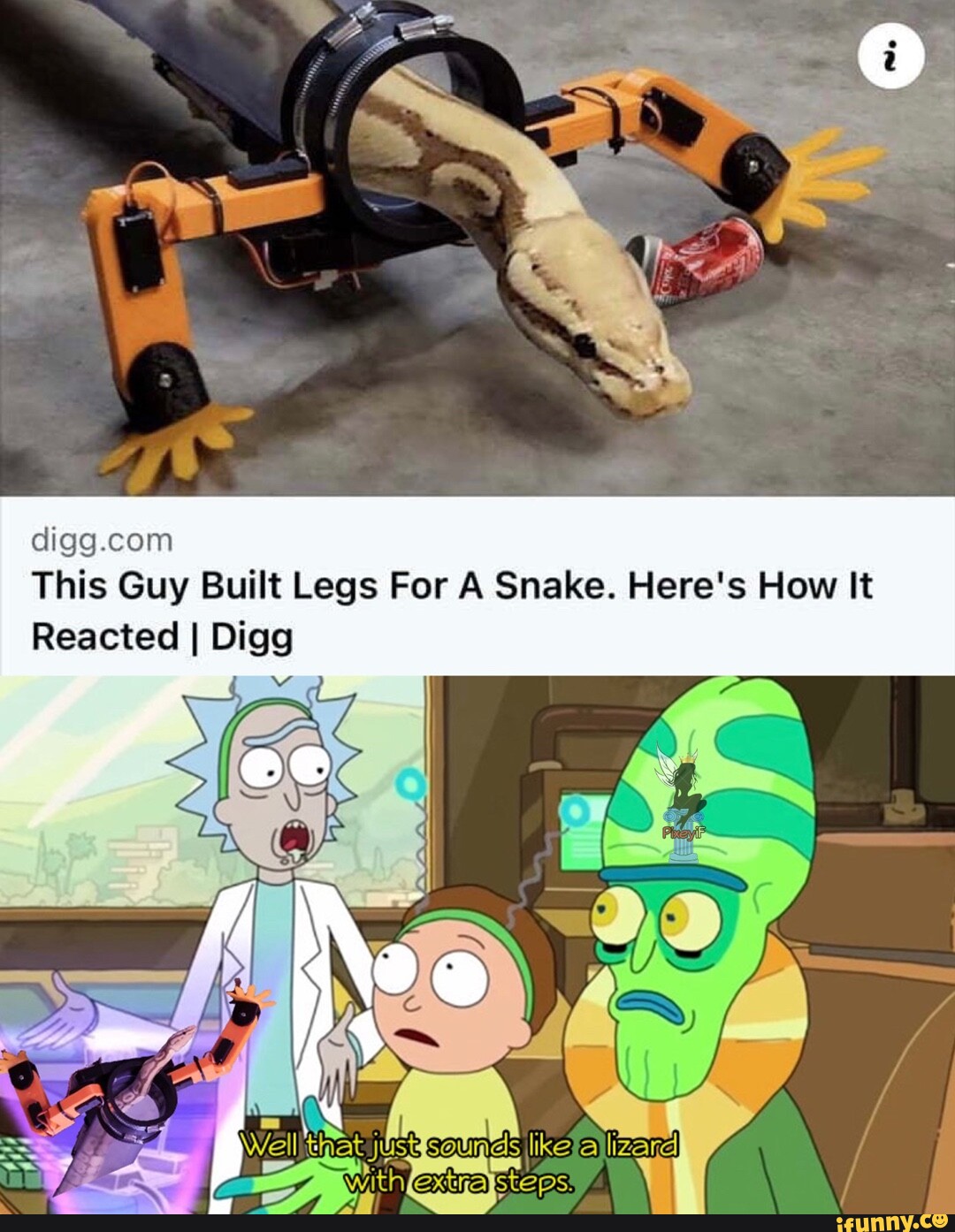 This Guy Built Legs For A Snake. Here's How It Reacted I Digg - iFunny ...