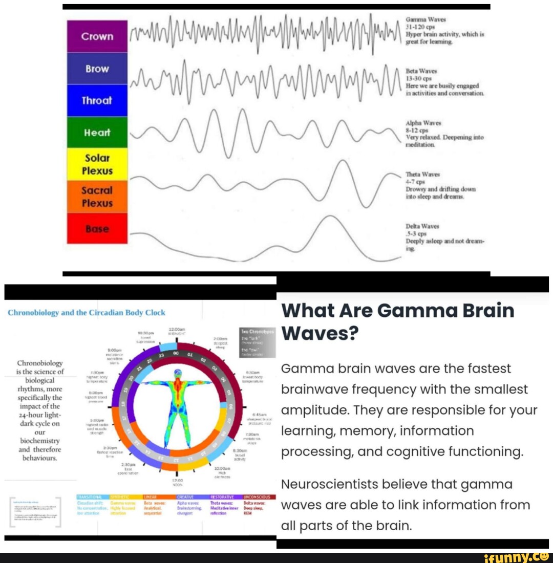 Crown Brow Throat Heart Solar Plexus Hyper braun activity. which reat ...