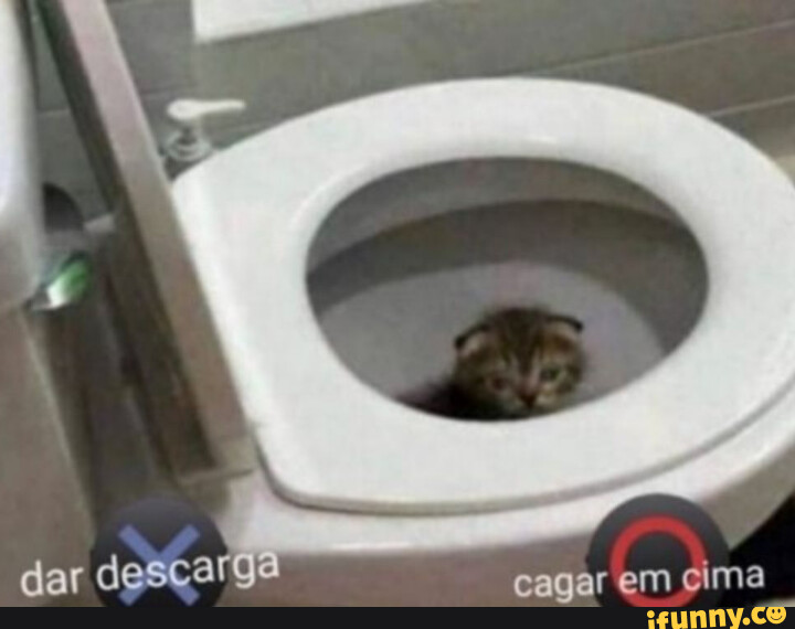 Só vale memes e ironias - ar descarga dar cagar em cima - iFunny Brazil