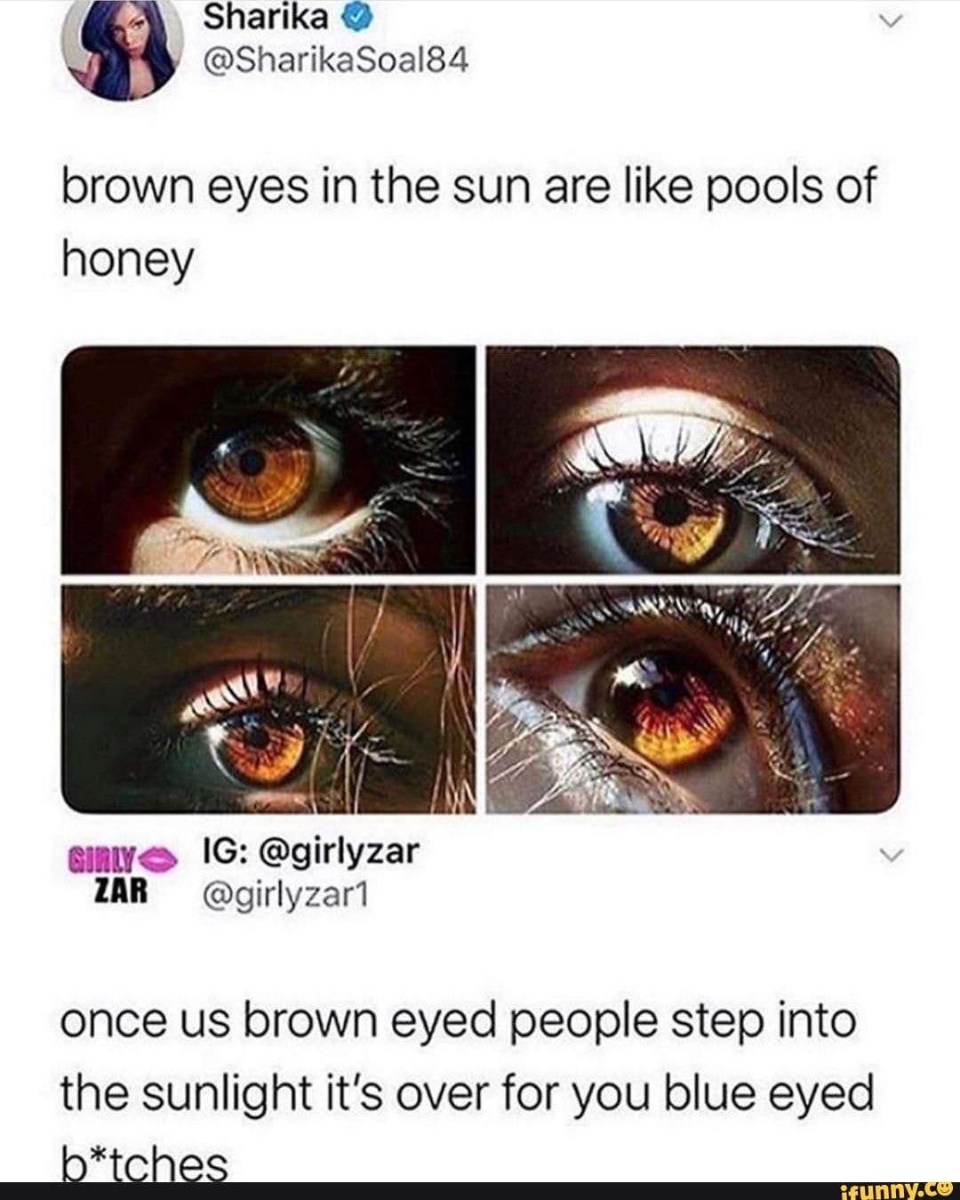 Brown Eyes In The Sun