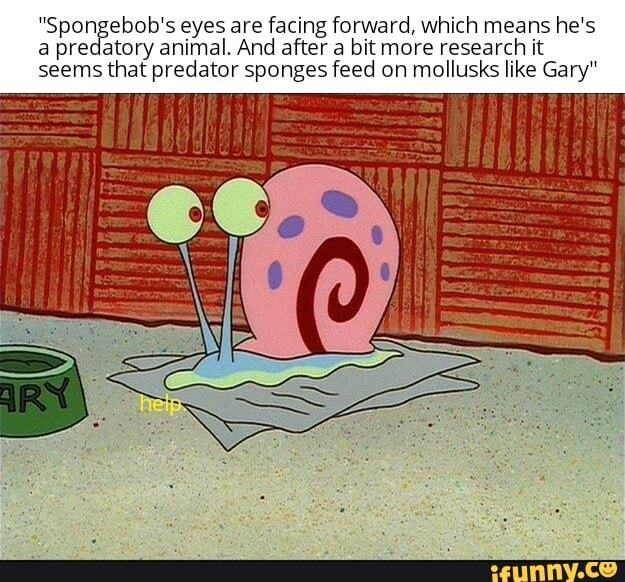 "Spongebob's eyes are facing forward, which means he's a predatory ...