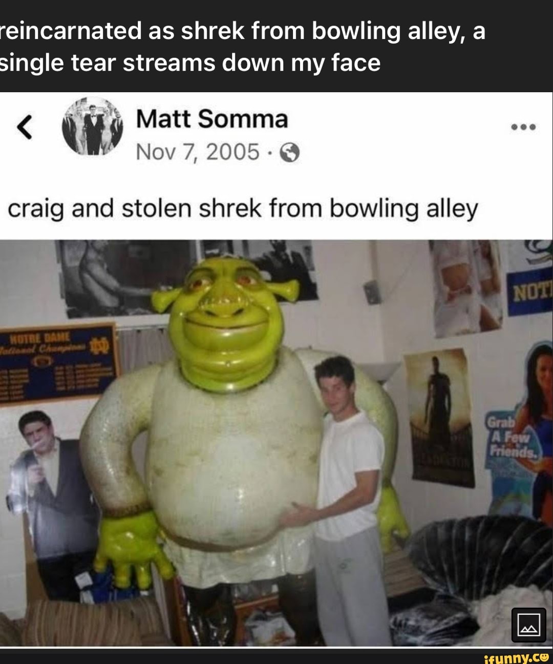Reincarnated as shrek from bowling alley, a single tear streams down my ...