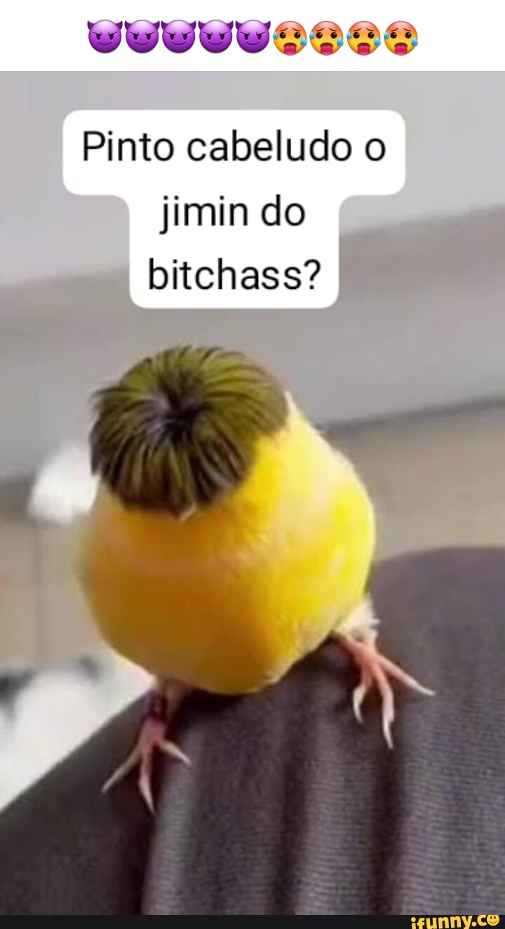 Pinto cabeludo jimin do bitchass? - iFunny Brazil