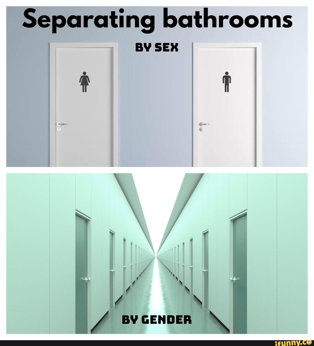 Separating Bathrooms By Sex By Gender Ifunny Brazil 