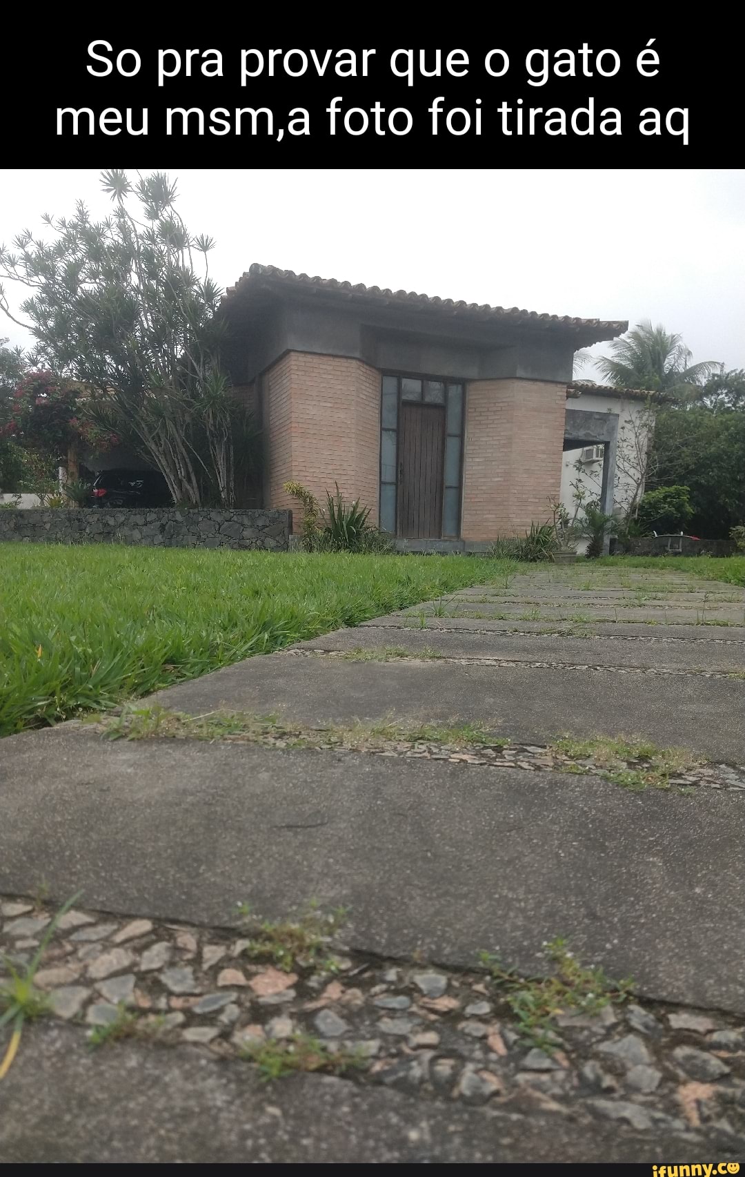 So pra provar que o gato é meu msmy,a foto foi tirada aq - iFunny Brazil