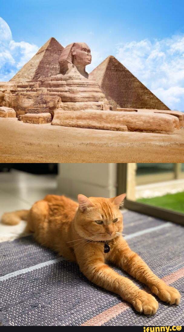 The_great_pyramid_of_giza memes. Best Collection of funny The_great ...