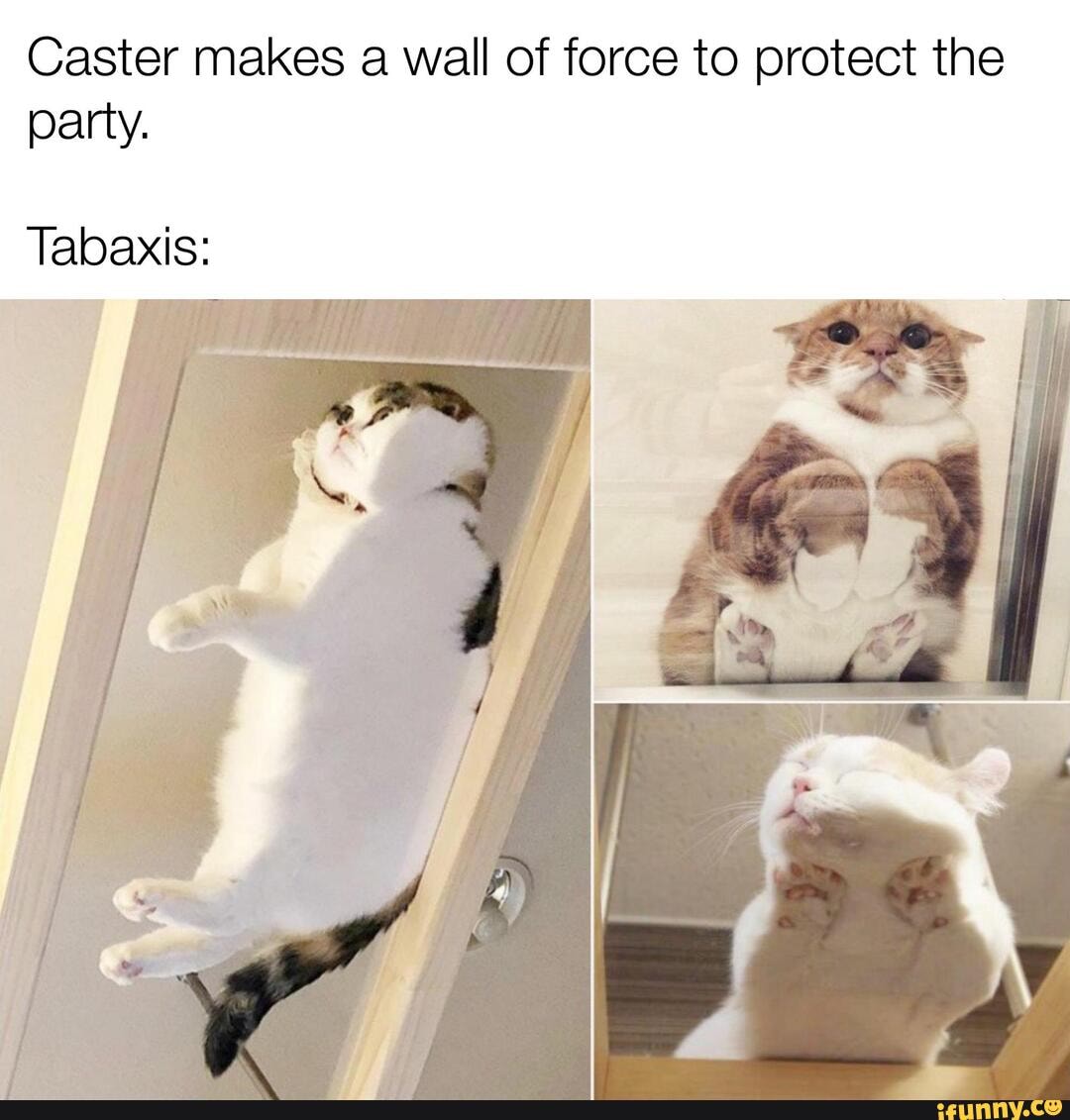 A Tabaxi’s Tiny Hut is just a really big nice box. - Caster makes a ...