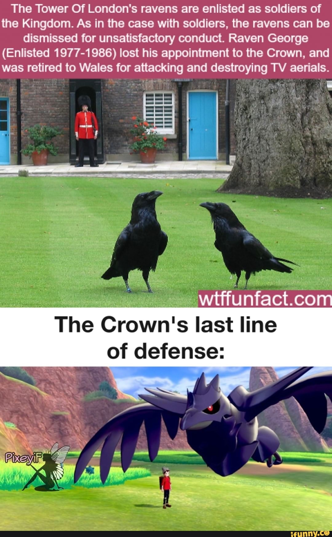 The Tower Of London's ravens are enlisted as soldiers of the Kingdom ...