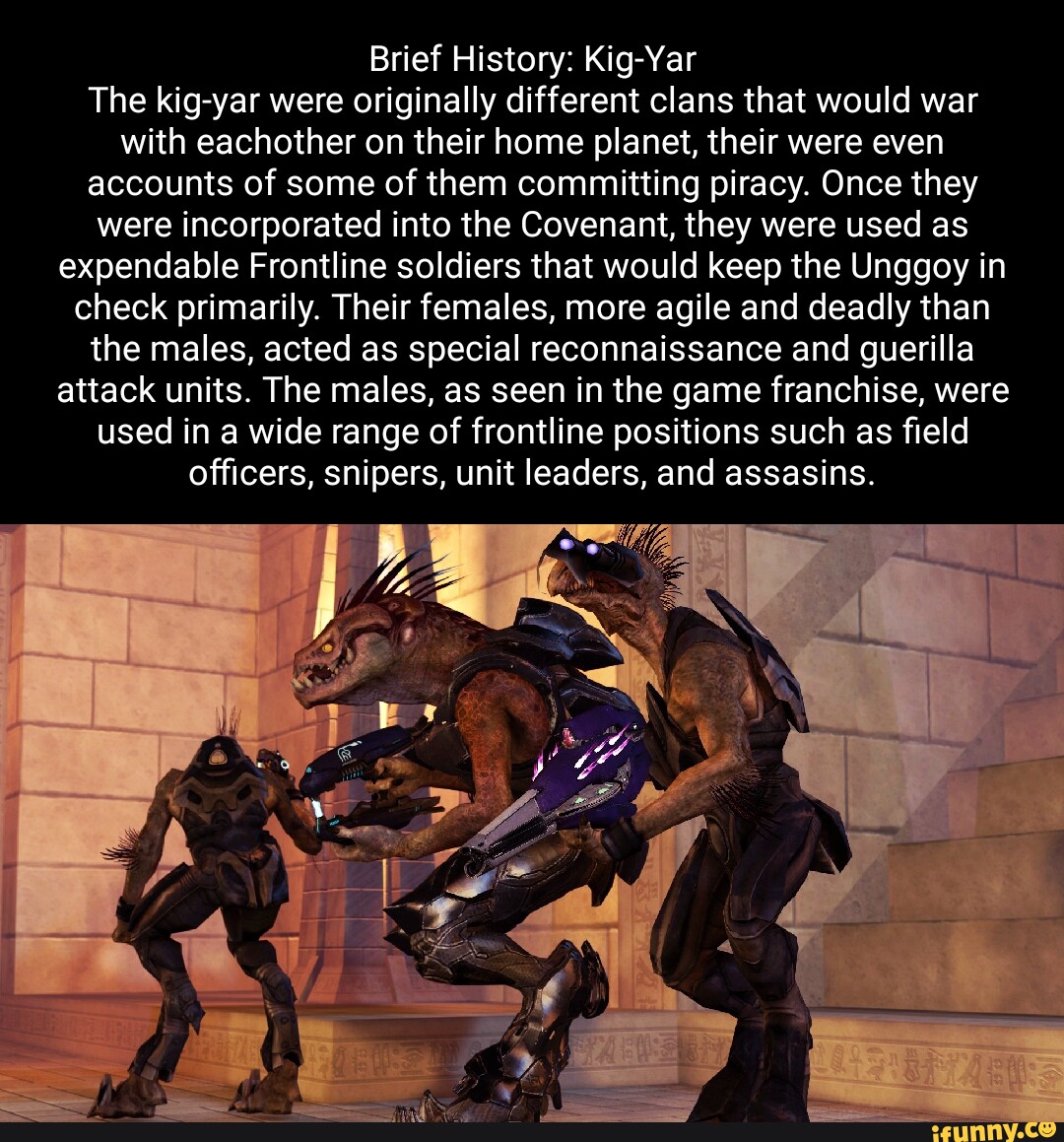 Brief History Kig Yar The Kig Yar Were Originally Different Clans That