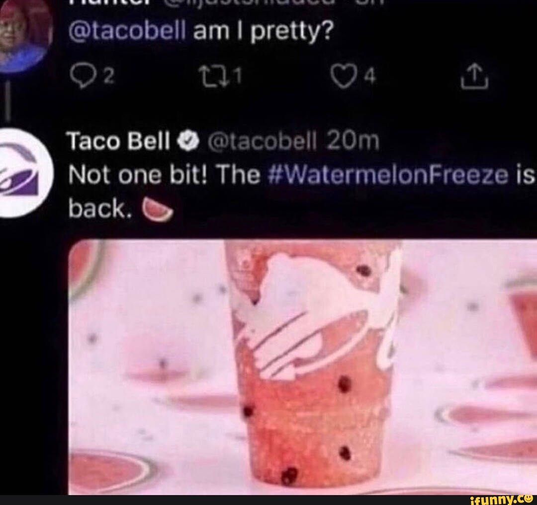 Taco Bell Meme Why Not Both