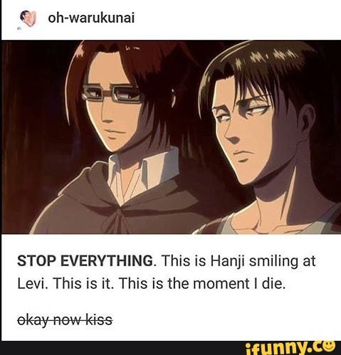Hanji X Levi Kiss