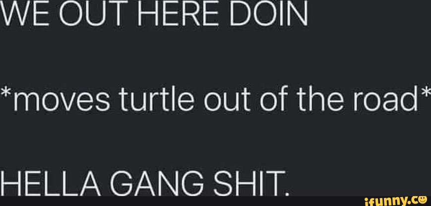 WE OUT HERE DOIN *moves turtle out of the road* HEIL I A GANG SHIT ...