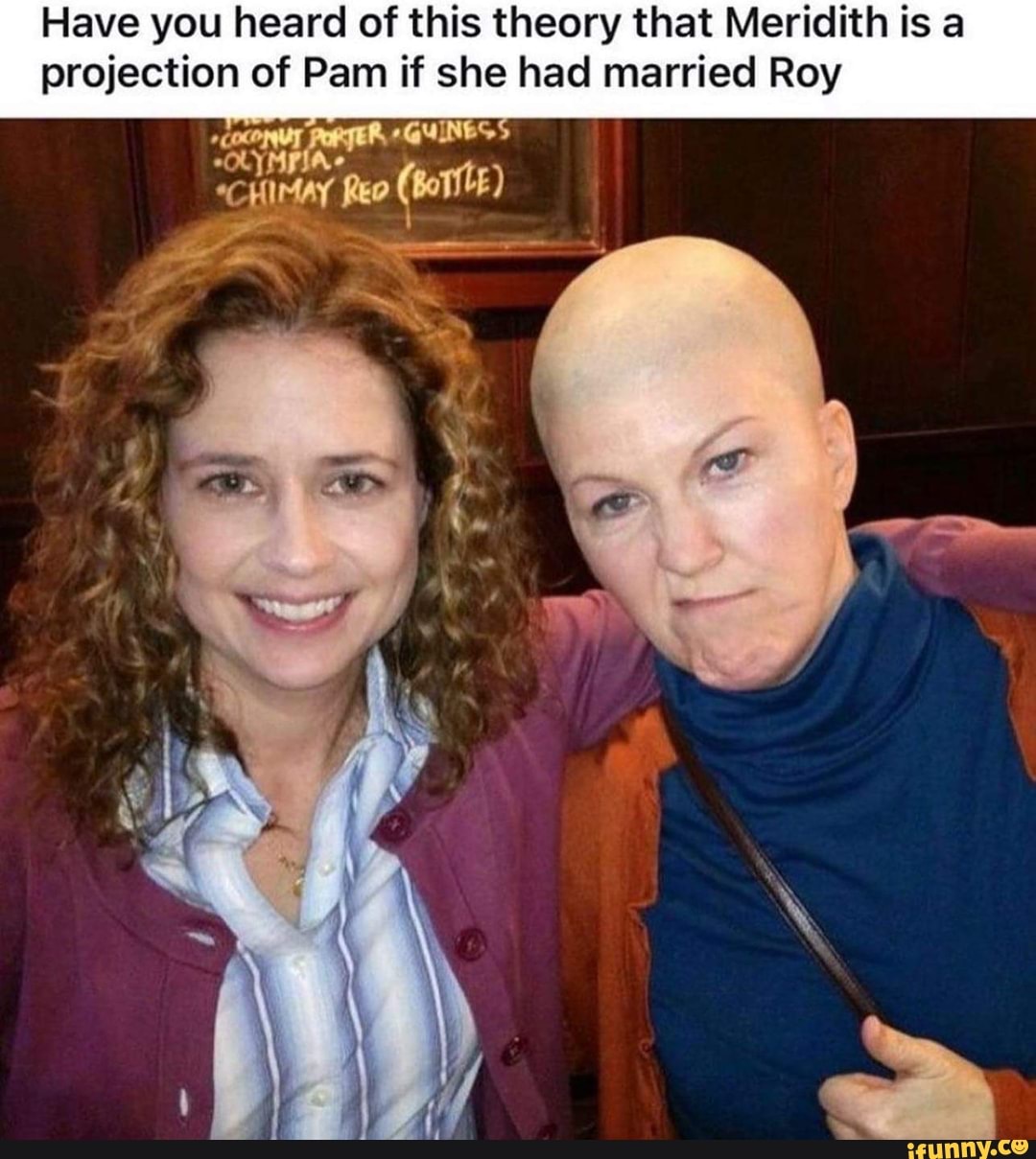 Have you heard of this theory that Meridith is a projection of Pam if ...
