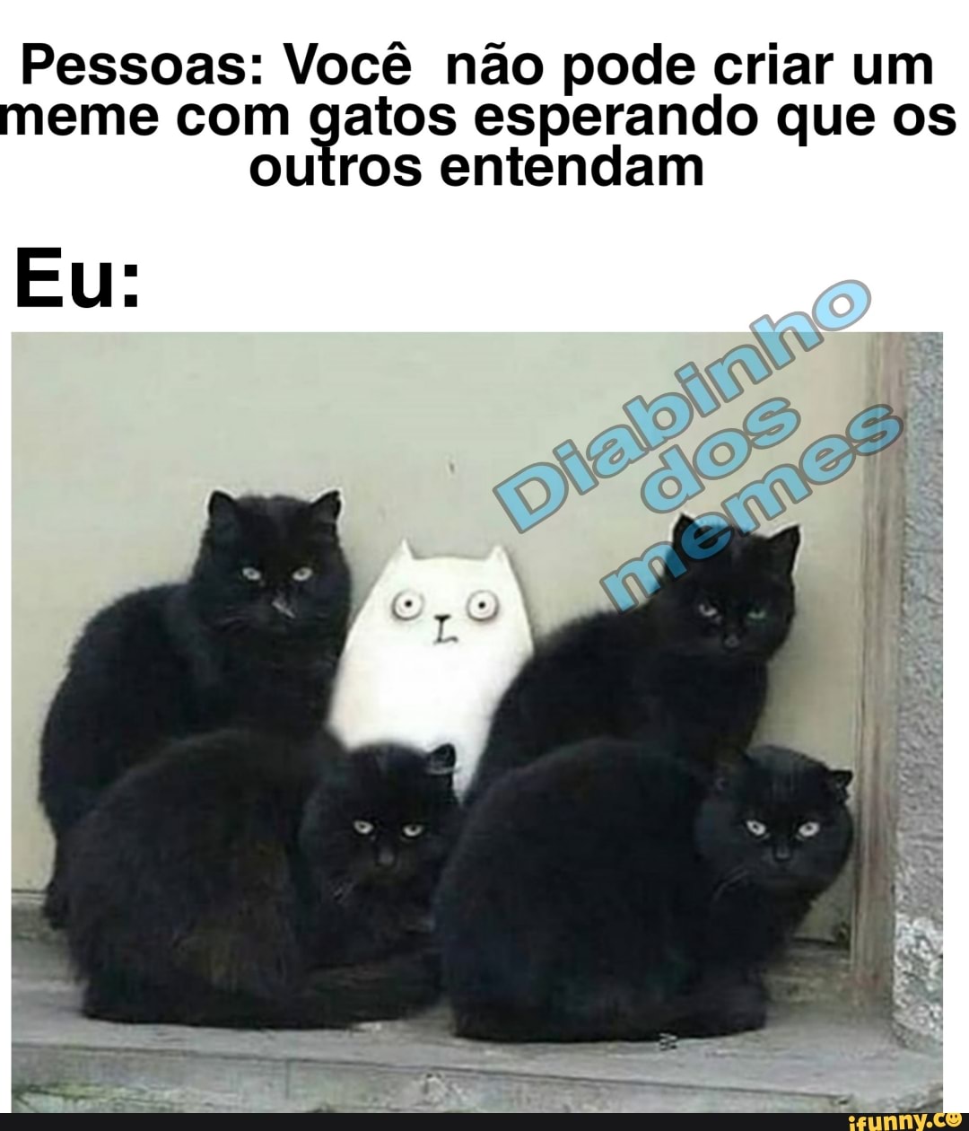 Gato Esperando Meme