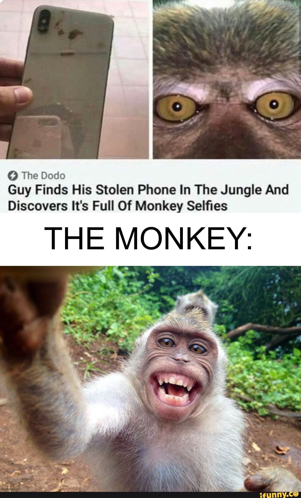 The Dodo Guy Finds His Stolen Phone In The Jungle And Discovers It's ...