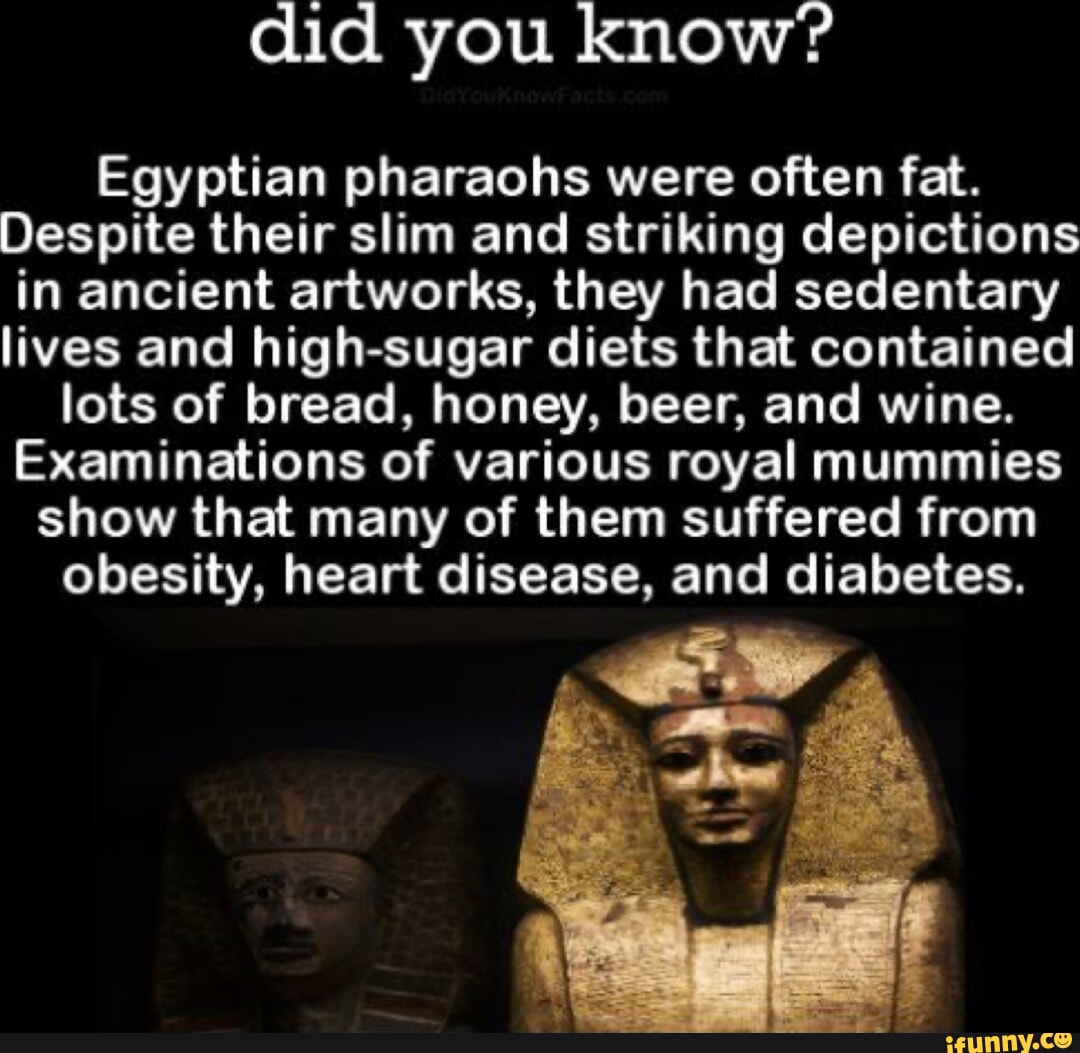 Did you know? Egyptian pharaohs were often fat. Despite their slim and ...