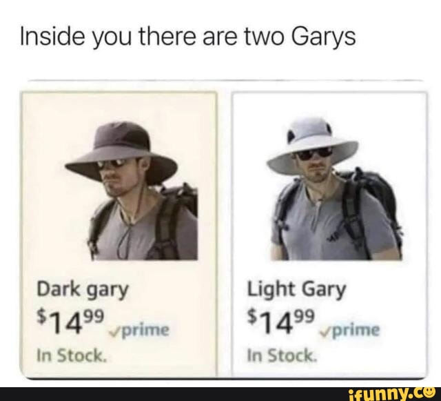 Inside you there are two Garys Dark gary Light Gary $4 /prime $4 /prime ...