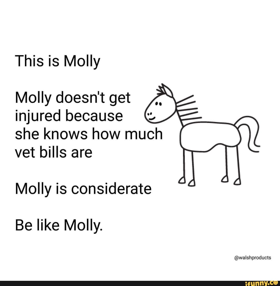 This is Molly Molly doesn't get injured because she knows how much vet ...