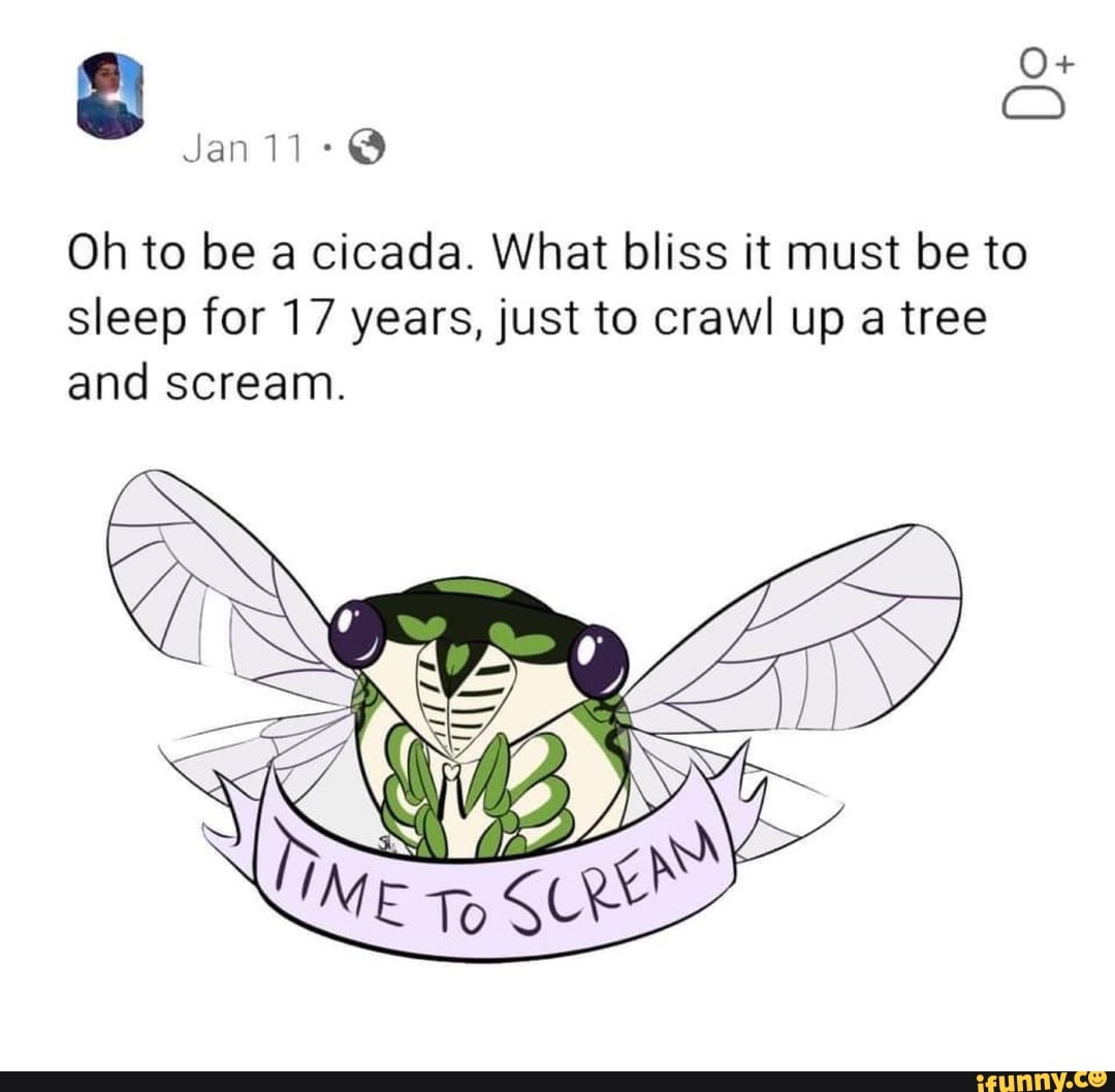 FARK.com: (13235692) 911, What's the nature of your emergency? THE BUGS ...