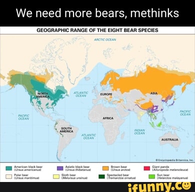 We need more bears, methinks (GEOGRAPHIC RANGE OF THE EIGHT BEAR ...